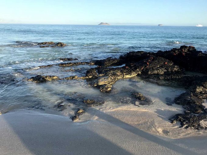 15 Galapagos Travel Tips to Know Before You Visit - Latin America For Less